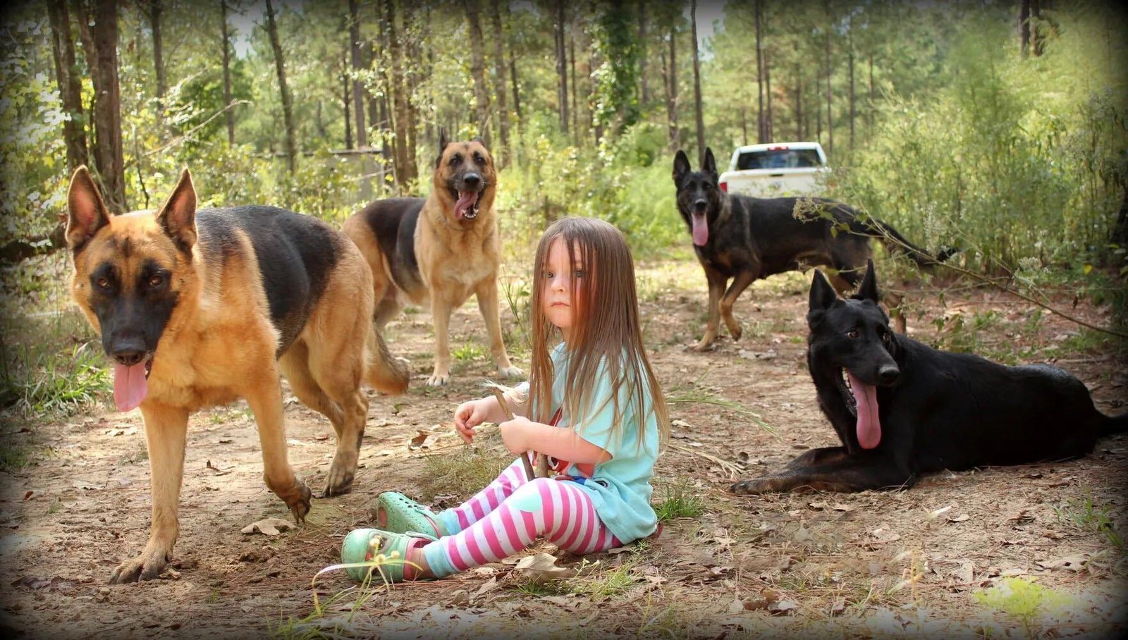 Are Protection Dogs Safe Around Children And Other Pets? - K9 Mania ...