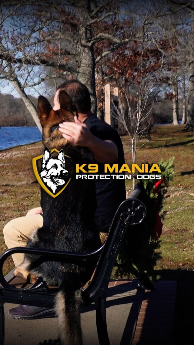 Personal & Family Protection Dogs - K9 Mania Protection Dogs